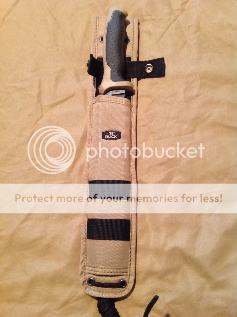 Buck 651 Pig Sticker Limited Edition | BladeForums.com